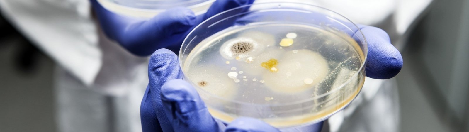 Department of Molecular Biology and Microbiology | Departments ...