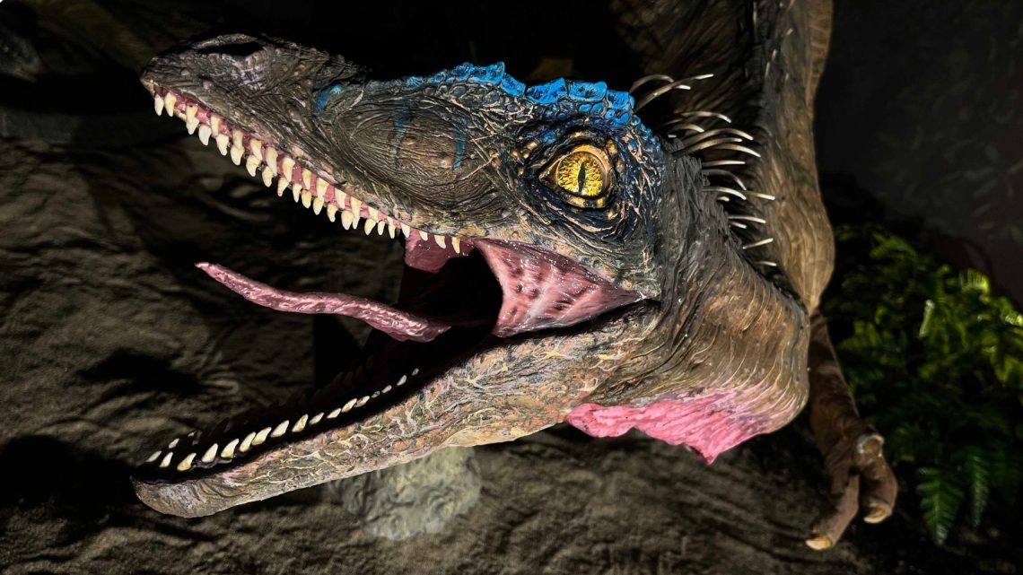 Komloverzum Látogatóközpont nyílt Komlón | Hírek | PTE TTK